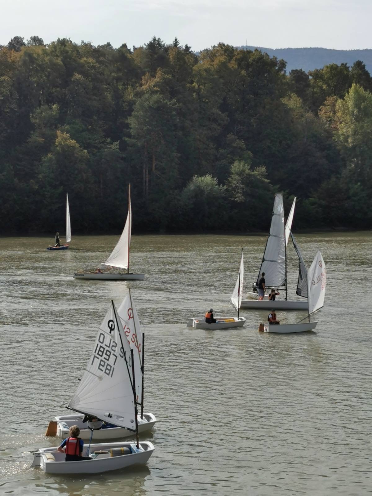 Jadralna zveza Slovenije | 3. regata za prvo jadro Maribora je za nami ...