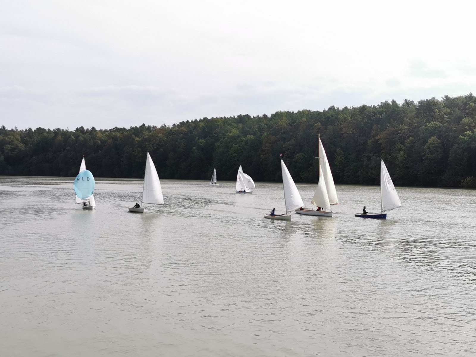 Jadralna zveza Slovenije | 3. regata za prvo jadro Maribora je za nami ...